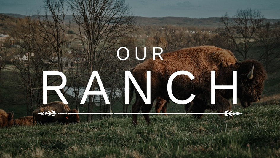 Shop Bullbourne Bison | Tennessee Bison Meat & TN Bison Ranch